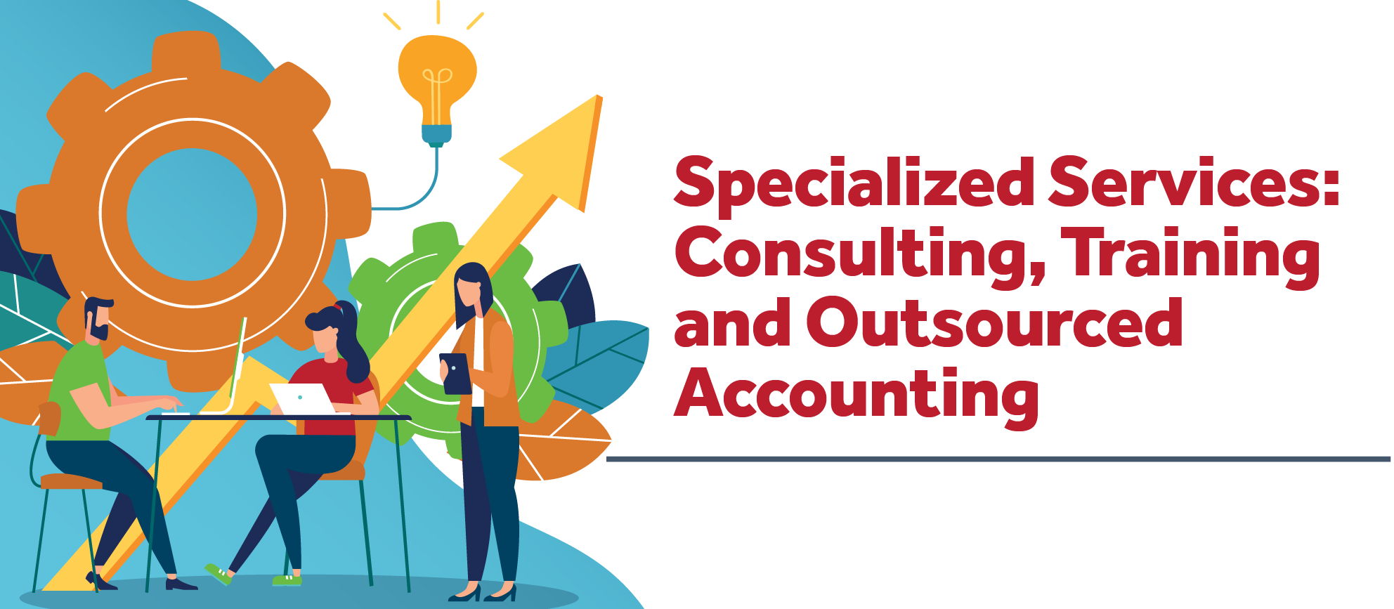 Specialized Services: Consulting, Training, and Outsourced Accounting